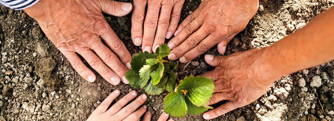 Comunidad - Axis Automotive